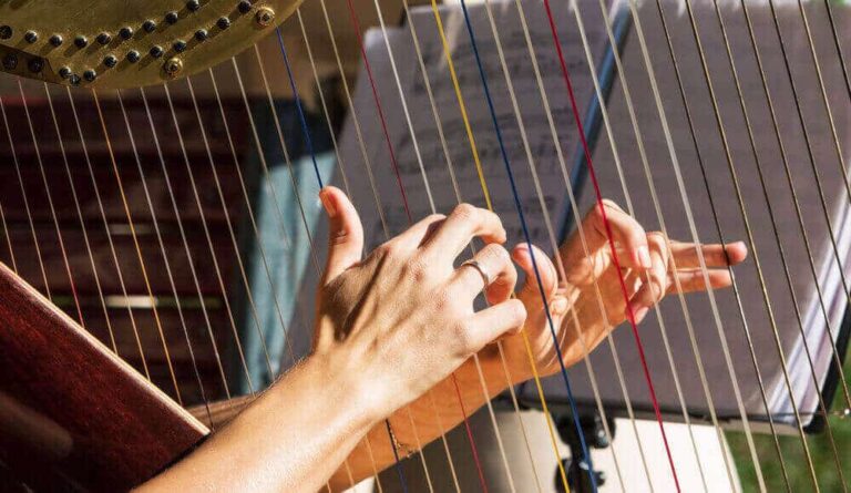 How Many Strings Does An Orchestra Harp Have? - Eric Sardinas How Many Strings Does An Orchestra Harp Have? - Eric Sardinas