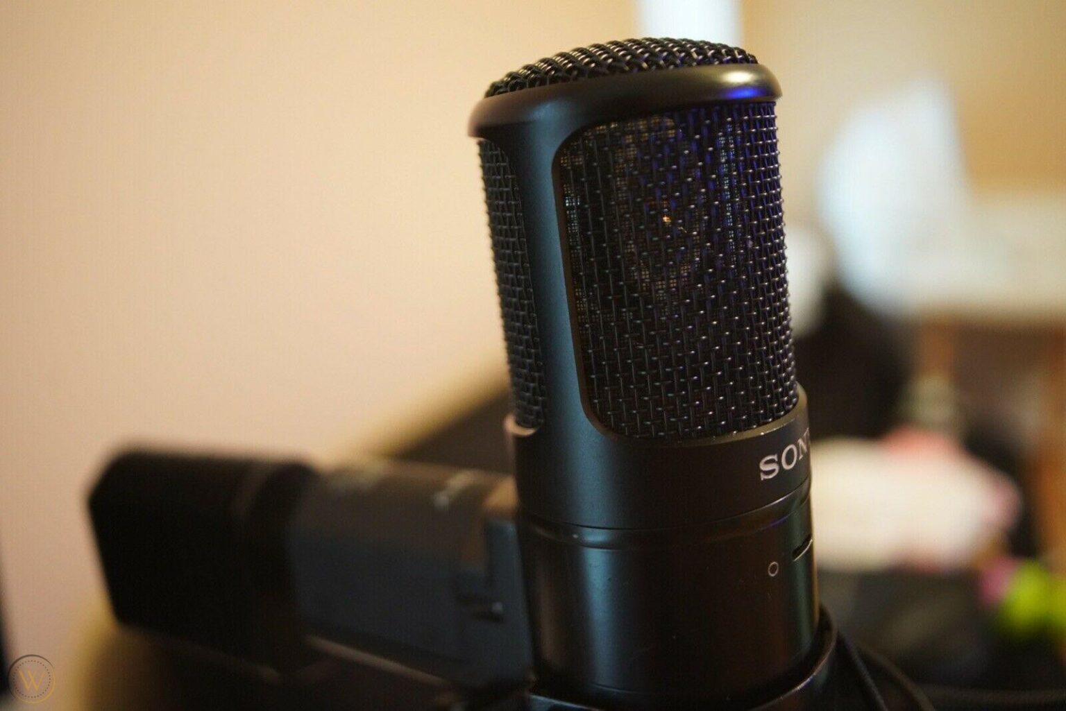 Who Used Sony C800G Microphone - Eric Sardinas